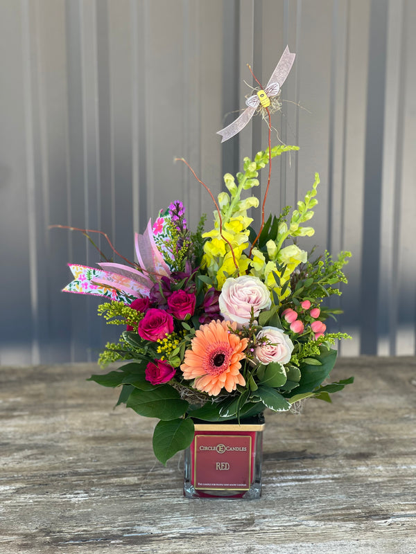 Flowers & Plants – Aly Bees